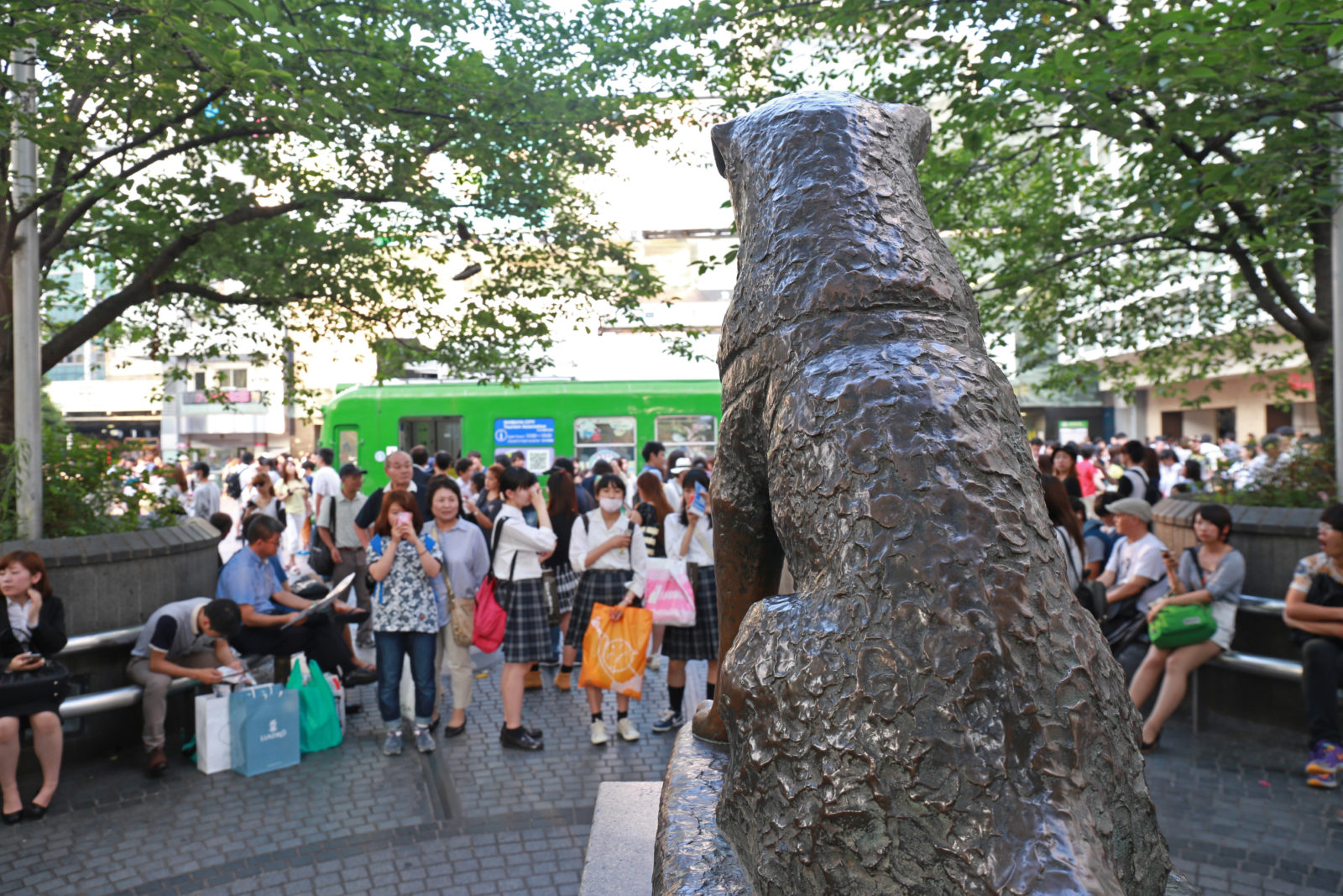 Reunion Statue of Hachiko and Professor Ueno | TiptoeingWorld