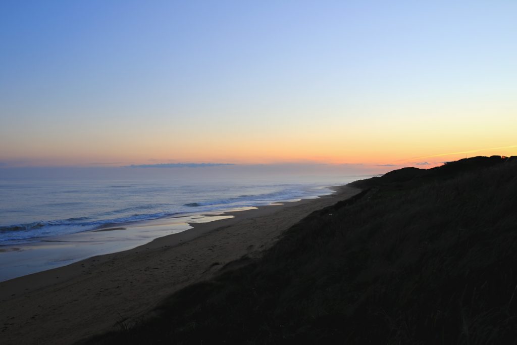 Australia Scenic Road Trip: Great Ocean Road | TiptoeingWorld