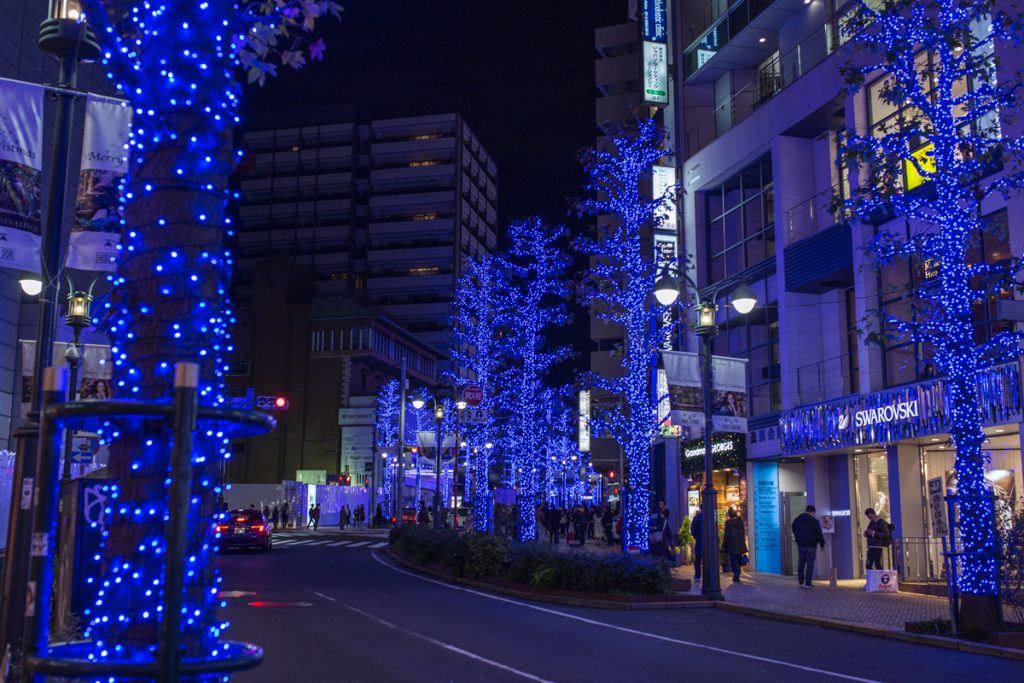 8 Best Illumination Spots in Tokyo | TiptoeingWorld