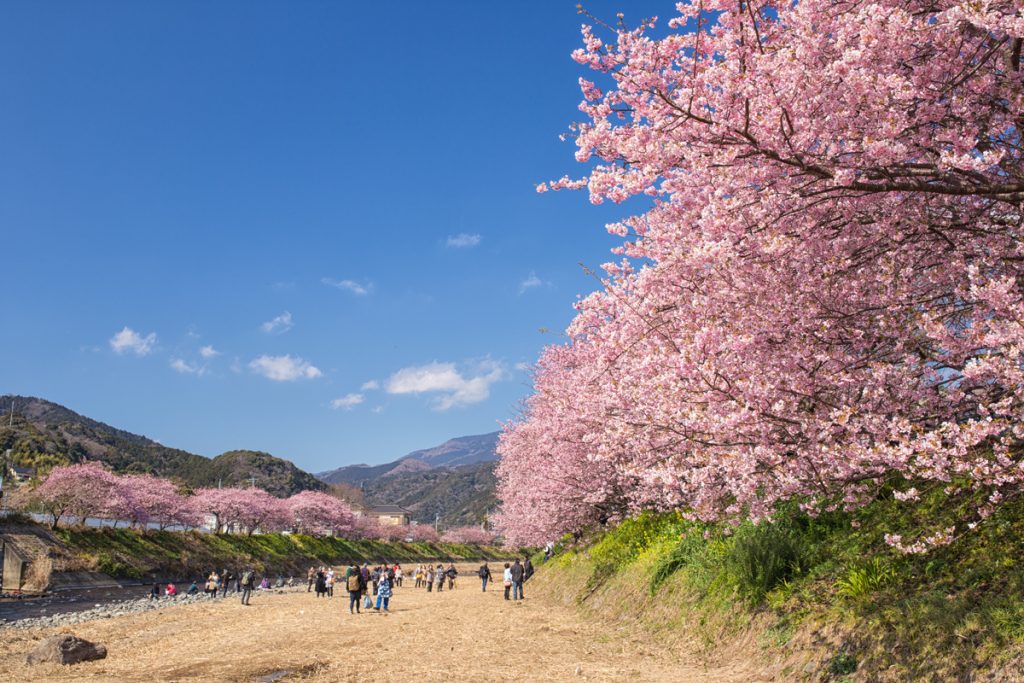 15 Stunning Views of Japan | TiptoeingWorld