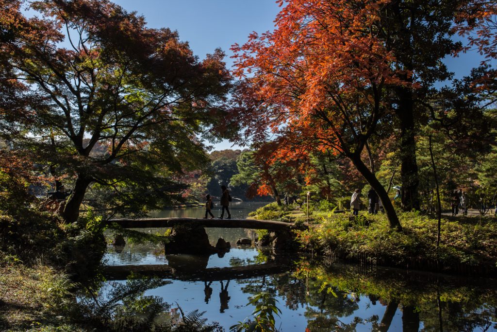 Autumn Foliage in Tokyo : Pictures Collection | TiptoeingWorld