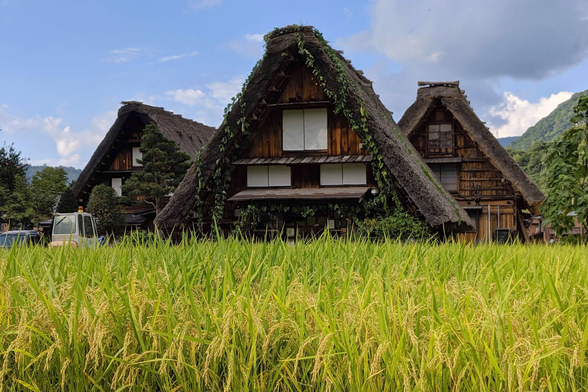 The Best Time to Visit Shirakawago : Summer or Winter? | TiptoeingWorld