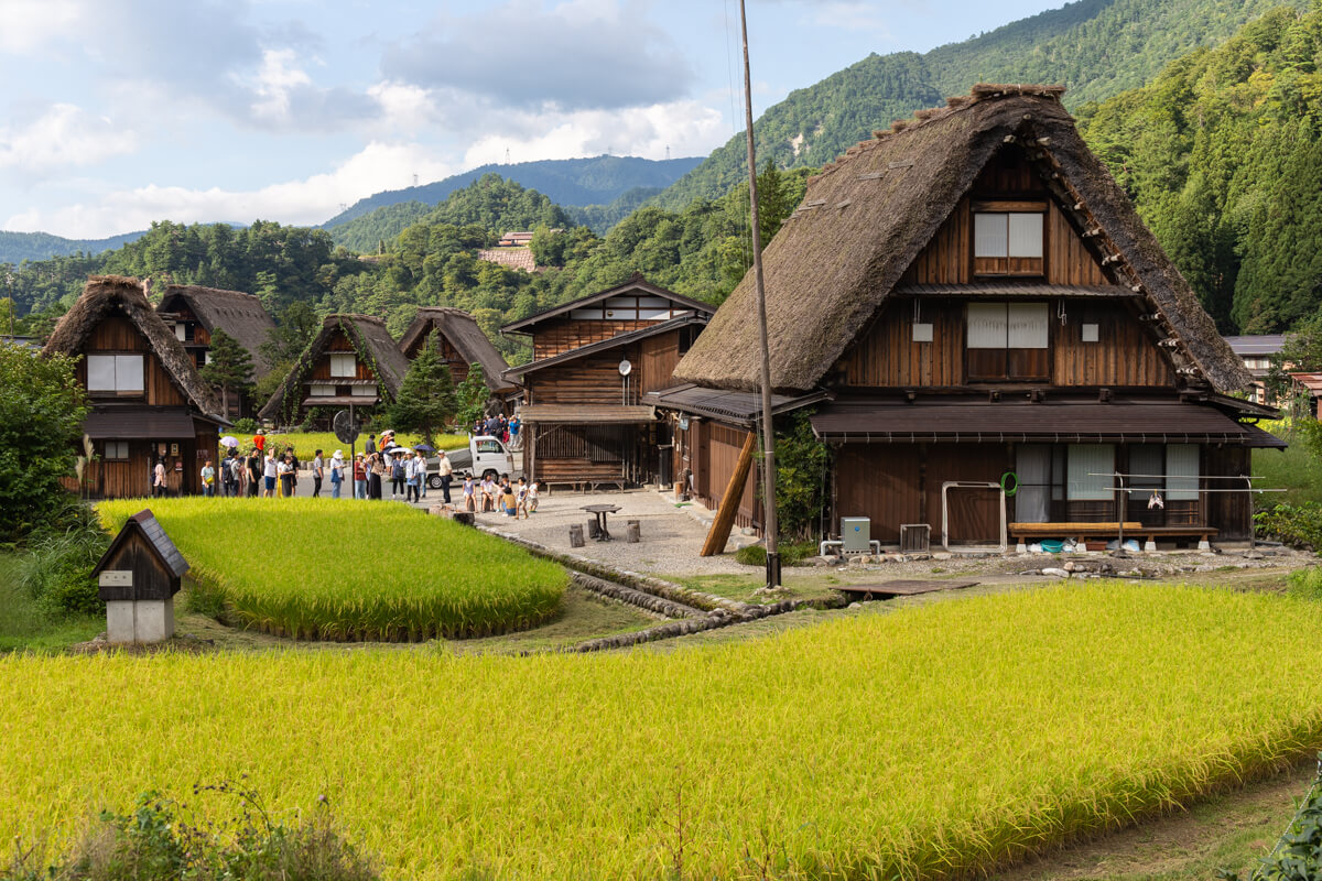 The Best Time to Visit Shirakawago : Summer or Winter? | TiptoeingWorld