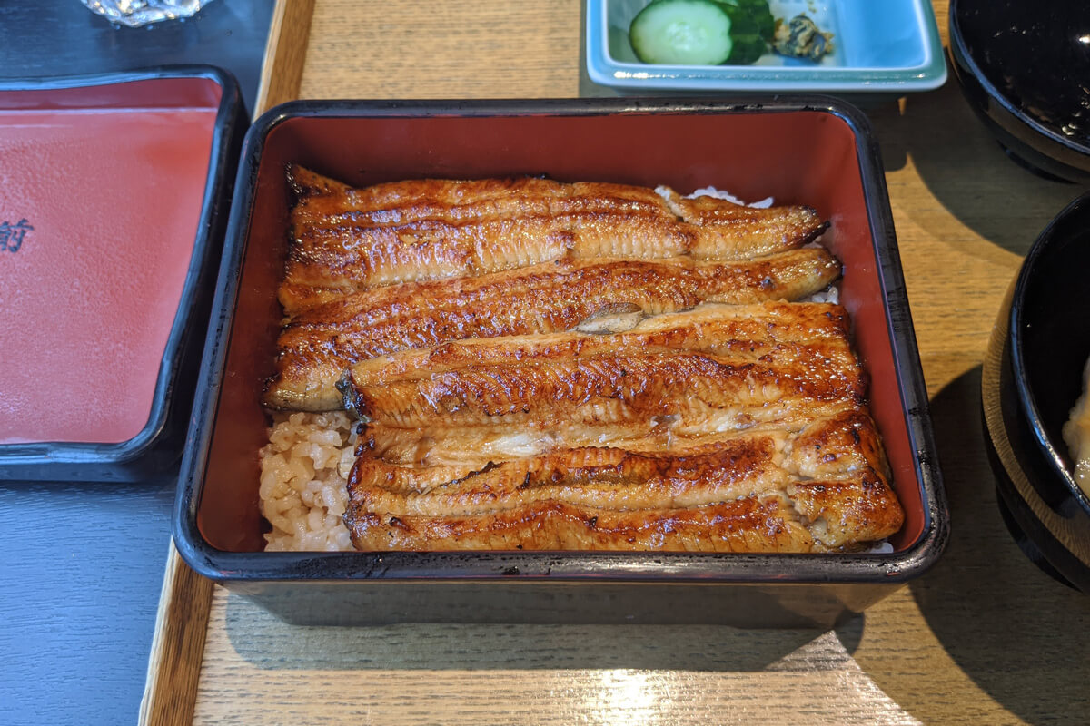 Unagi : Japan Summer Food | TiptoeingWorld